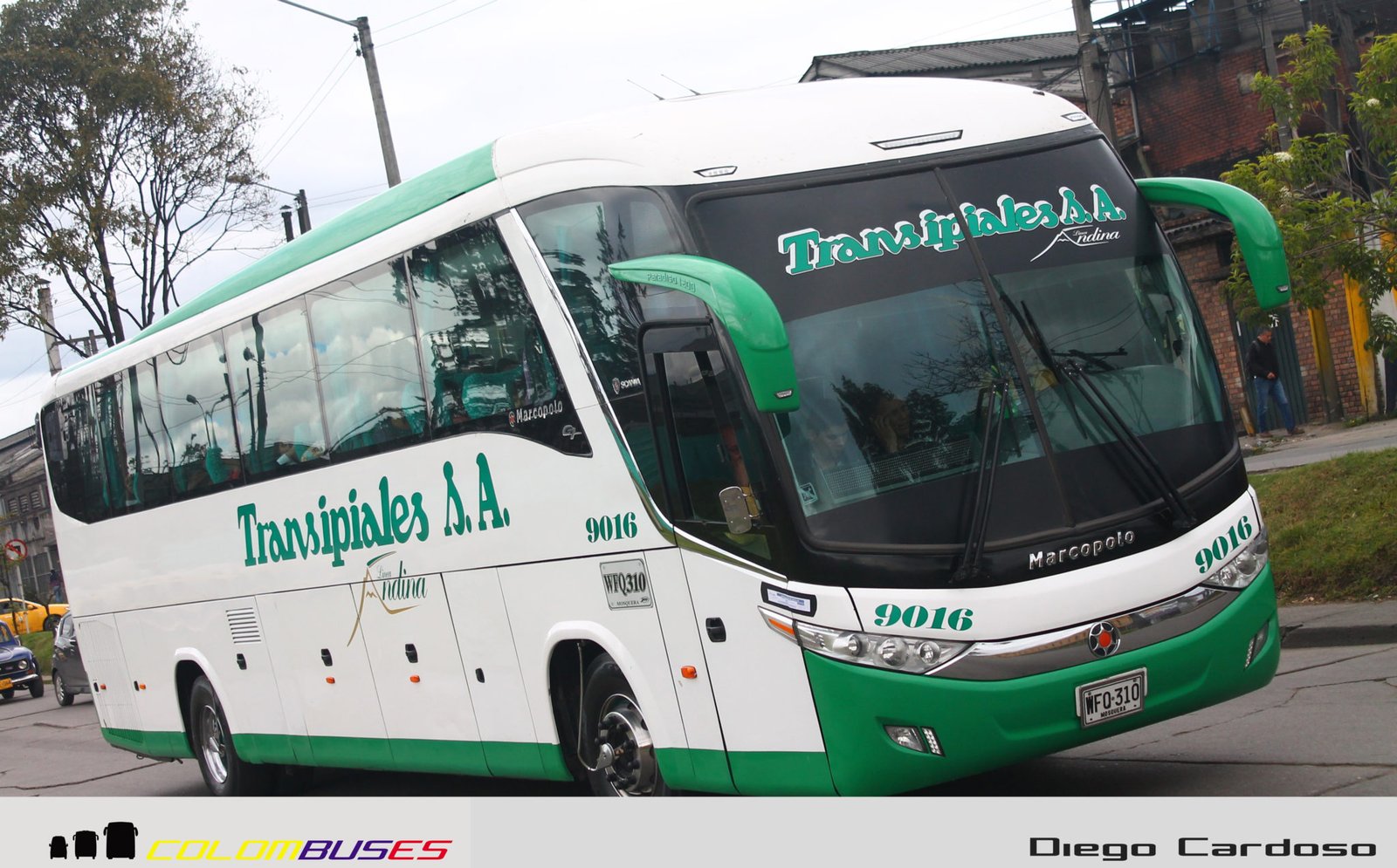 Precios, Teléfonos y Rutas de Transipiales - colombuses.com