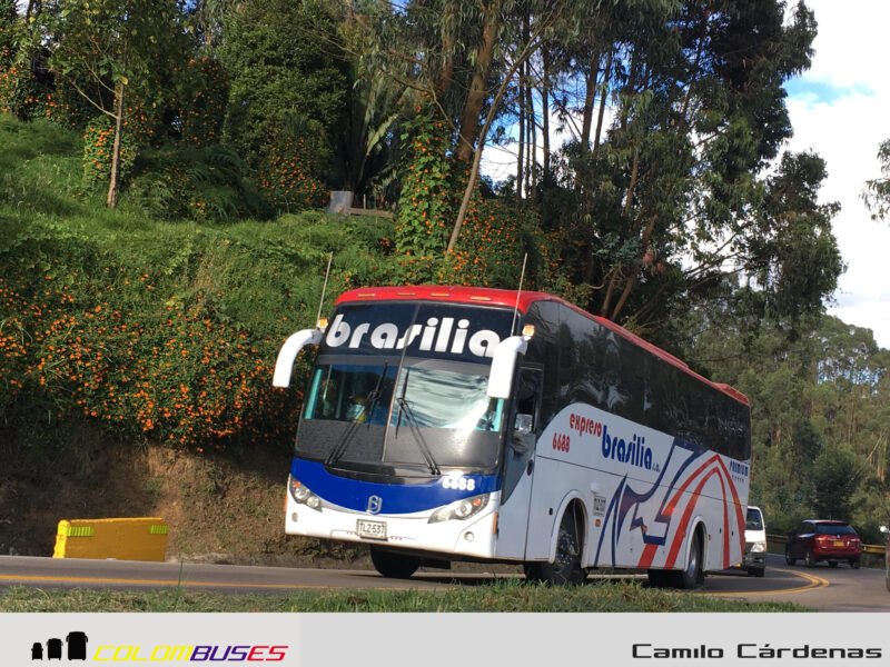 Info de Pasaje Corozal a Bogotá en Bus Brasilia y más!